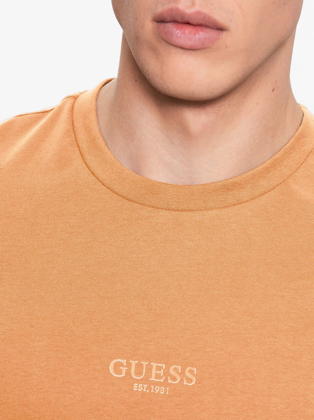 Guess Mens Sweet Peach Aidy T-Shirt | Designerwear